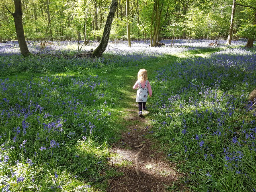 Tiny Wildlings Nature Play – Outdoor nature play sessions for children ...